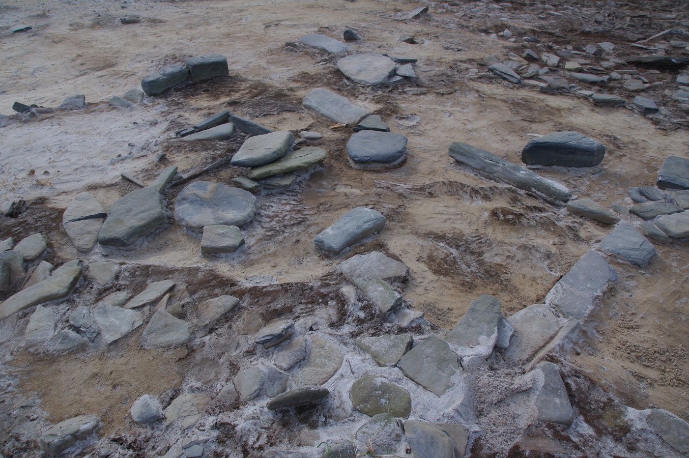 Early Neolithic houses and 19th century whales at Sanday dig site ...