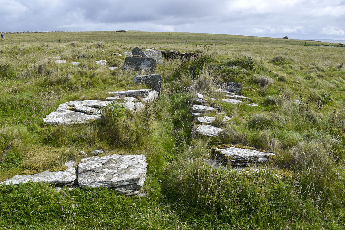 Holm of Papay stalled cairn monograph available to download ...