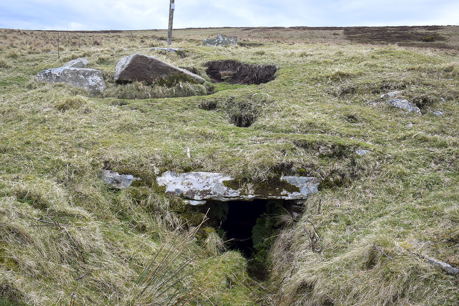 Tombs of the Isles update - Huntersquoy, Eday - Archaeology Orkney