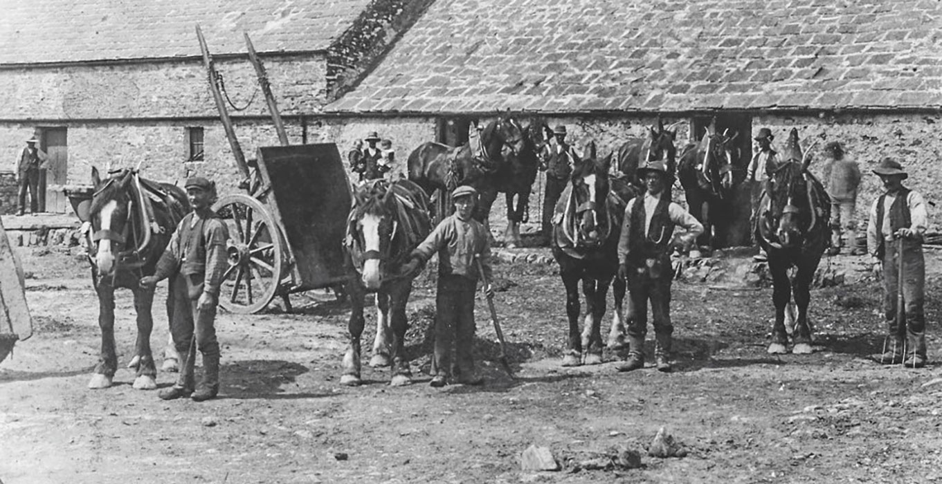 Farming - Archaeology Orkney