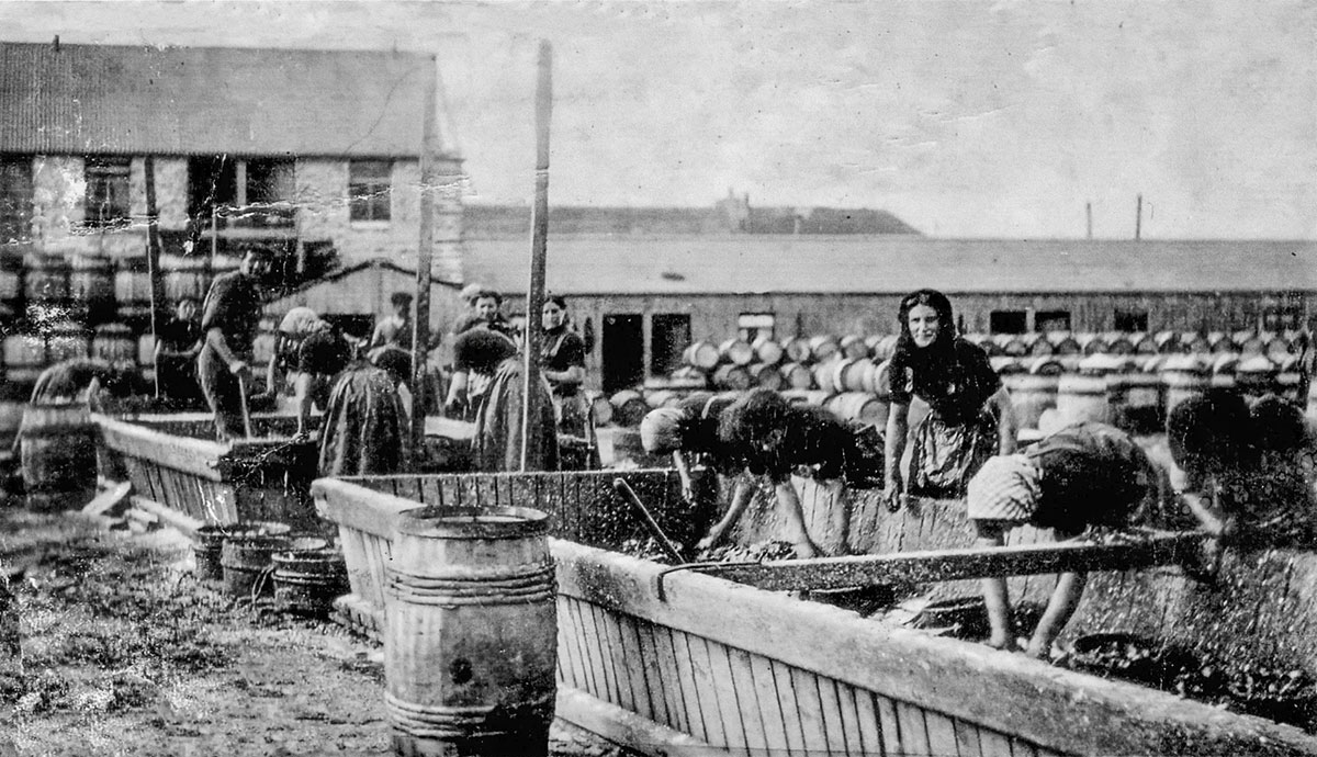 Culture and heritage - Archaeology Orkney