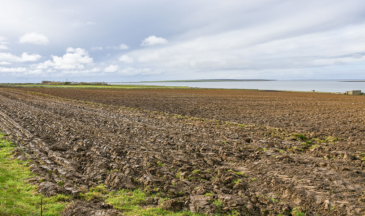 Project takes to the fields in search of early prehistoric activity in ...