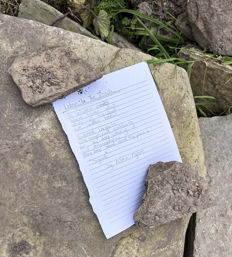 The rousing sounds of Skaill farm - Archaeology Orkney