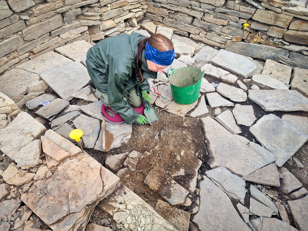 Dig diary - spectacular carved head found in week two at Skaill farm ...